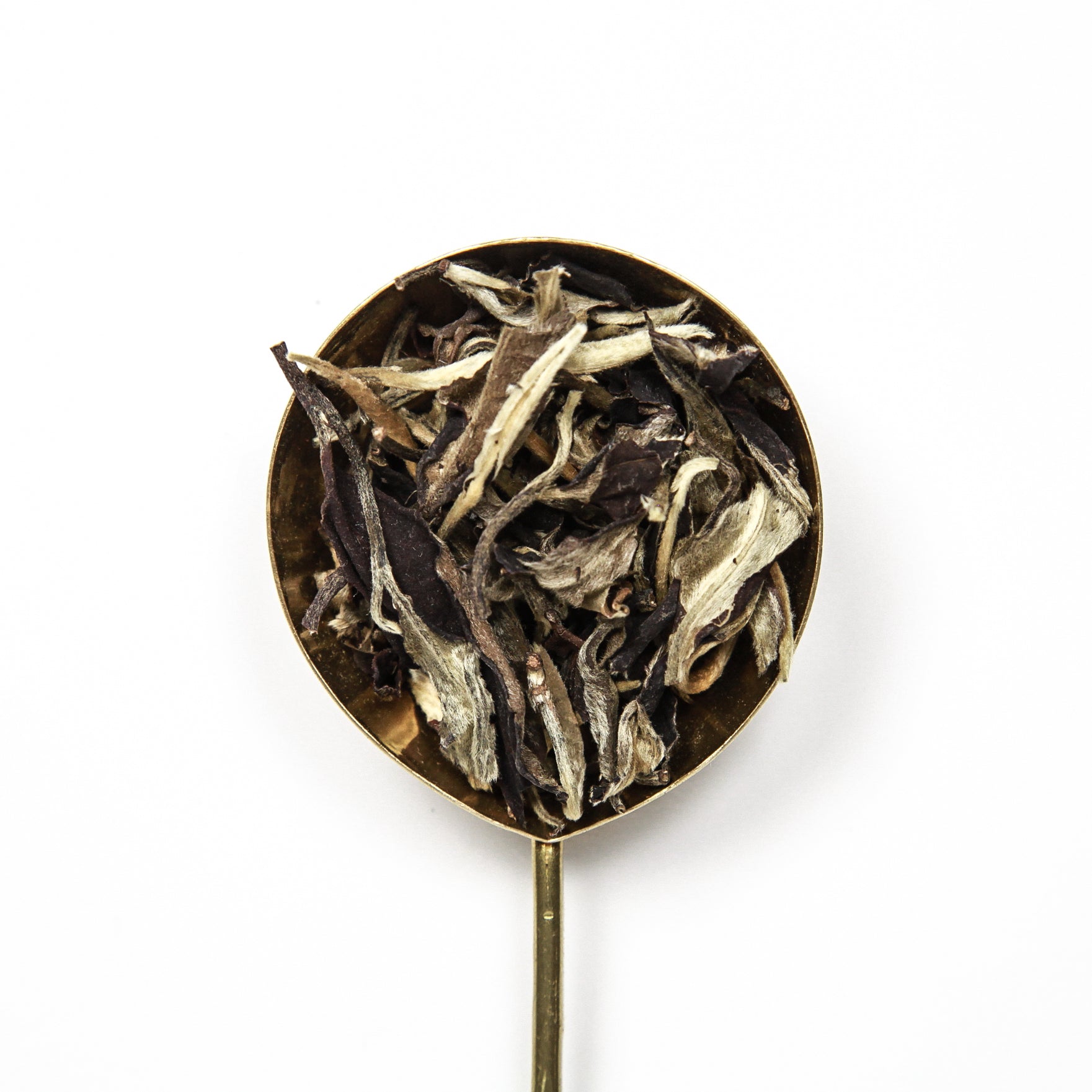 2012 Moonlight White – Miro Tea